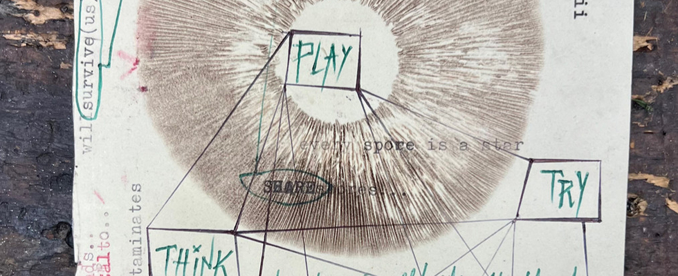 Try, feel, fail. Learn. Think. Play. Observe | imGrätzl.at